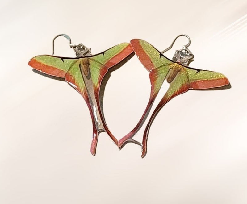 Peregrine Falcon Earrings - Magnolia Mountain Jewelry